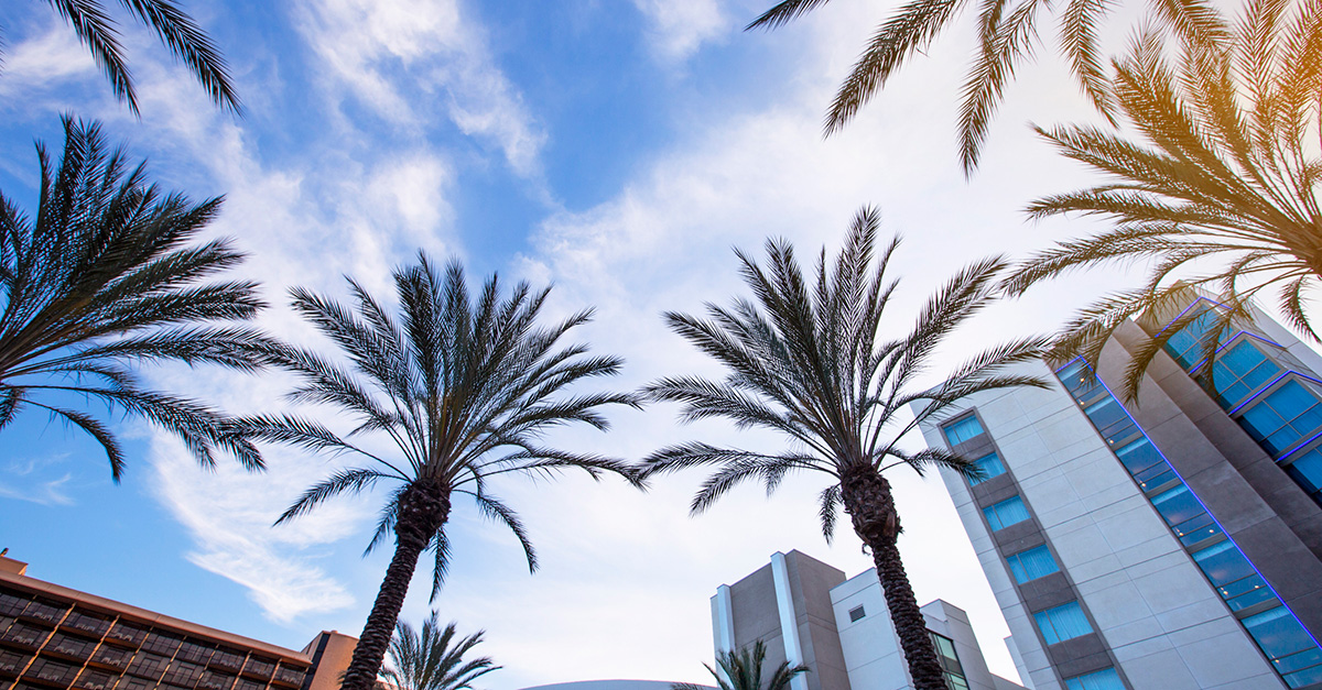 Orange Workforce Alliance